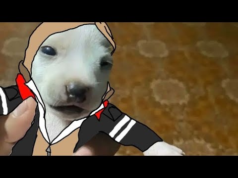 Prototype Memes Tiktok Completion and some Meme images - YouTube