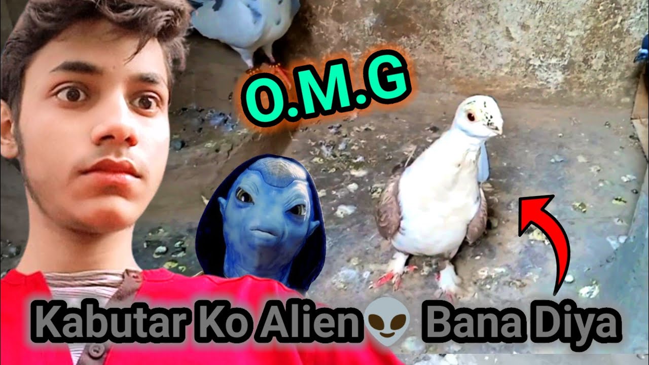 Kabutar Ko Alien Banane Ka Tarika #barivlogz #youtube #youtubefeeds #vlogs @Barivlogz - YouTube