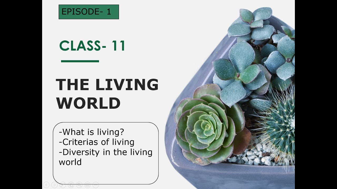 Class 11 ''THE LIVING WORLD'' Biology chapter 1 - YouTube