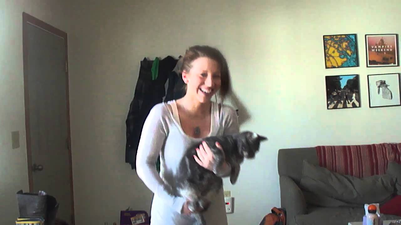 Weird Cat Lady - YouTube