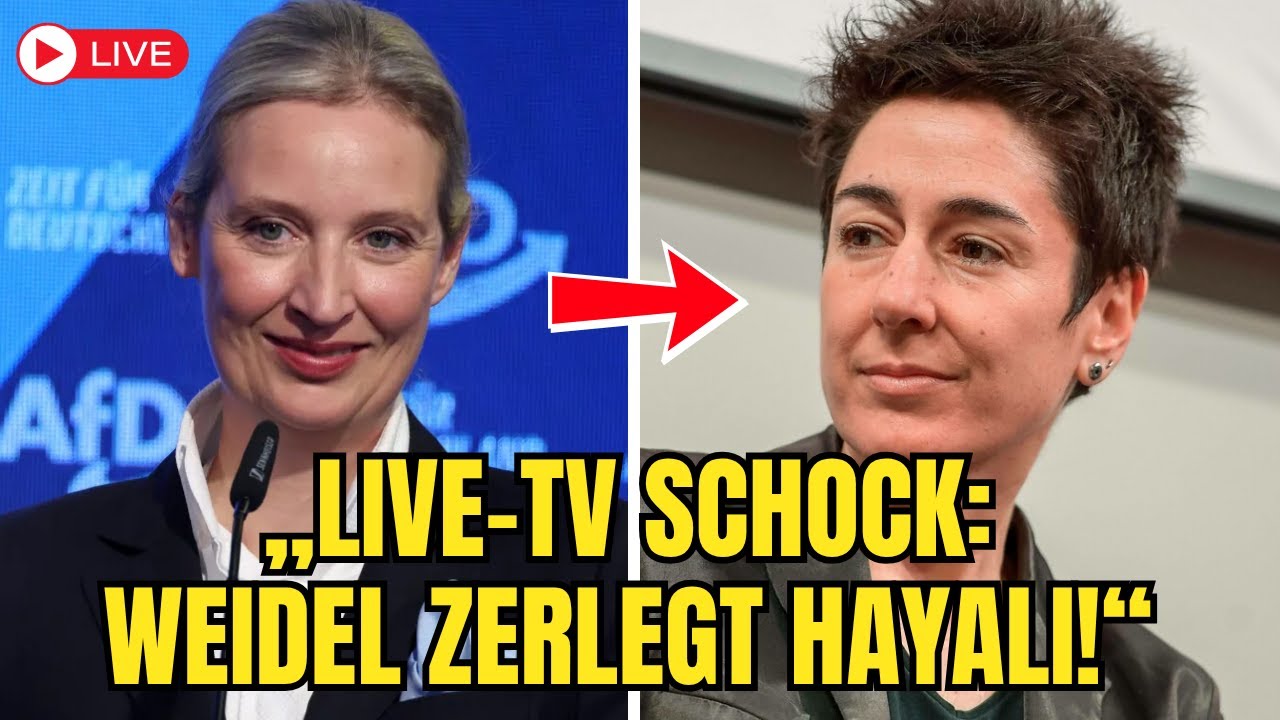 Alice Weidel KOMPLETT ZERLEGT Dunja Hayali Im Live TV #weidel - YouTube