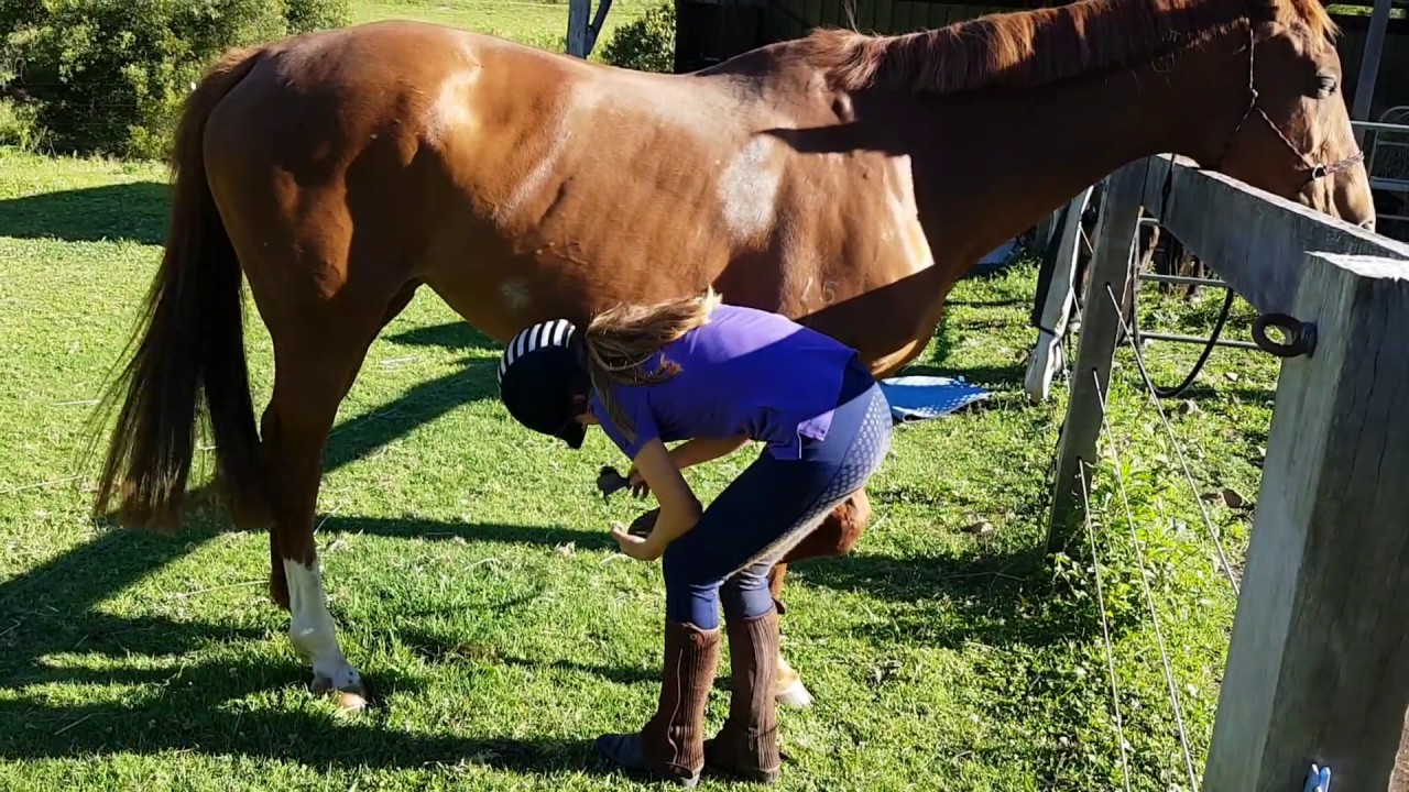 Sky picking out hooves - YouTube