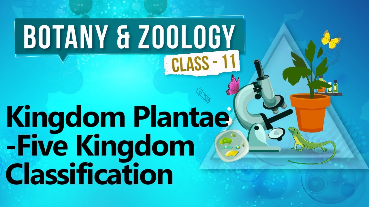 Kingdom Plantae - Five Kingdom Classification - Diversity in Organisms ...
