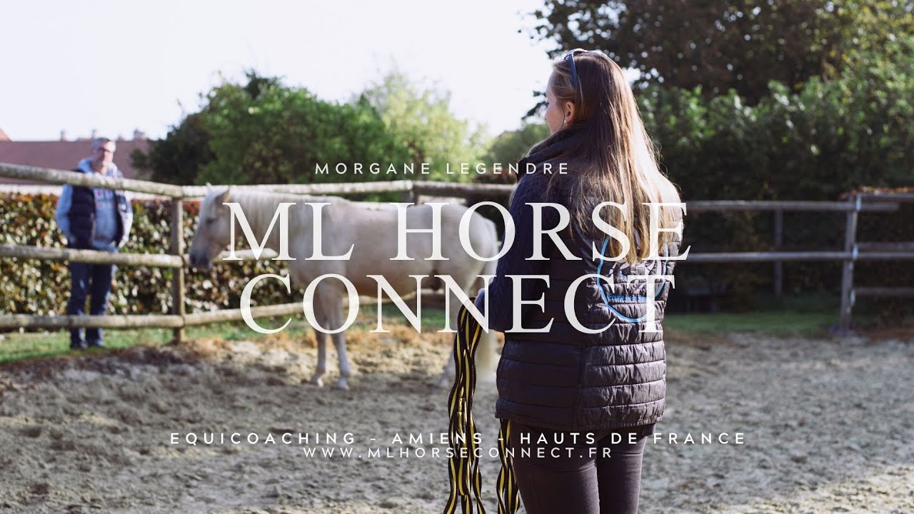 ML Horse Connect - Vivez l'expérience de l'équicoaching près d'Amiens ...