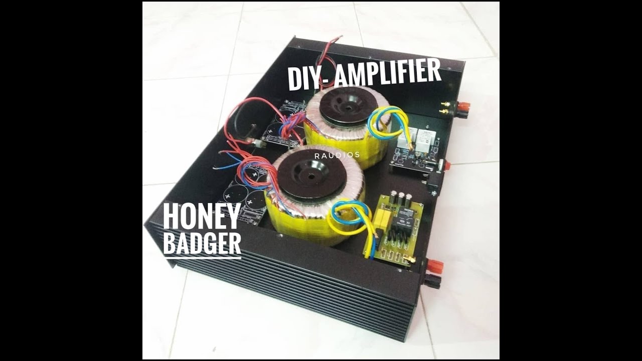 DIY Stereo Amplifier -Honey Badger -Sneak Peek - YouTube
