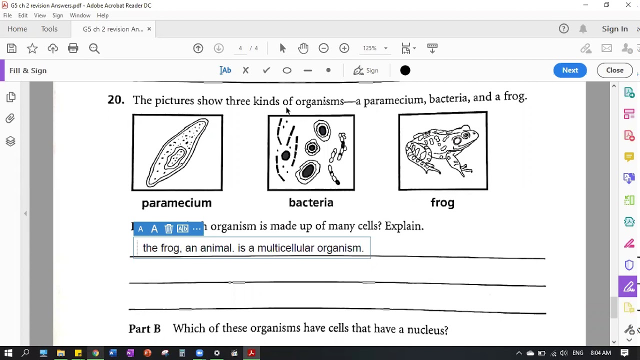 Science G5: Revision (Chapter 4 Lesson 2) 24/1/2021 - YouTube