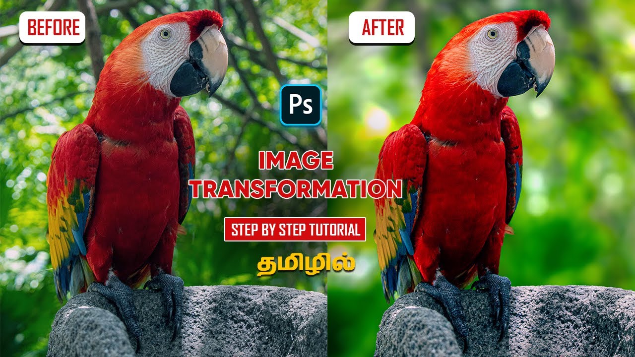 How to blur the background with bokeh and colour grade using photoshop ...