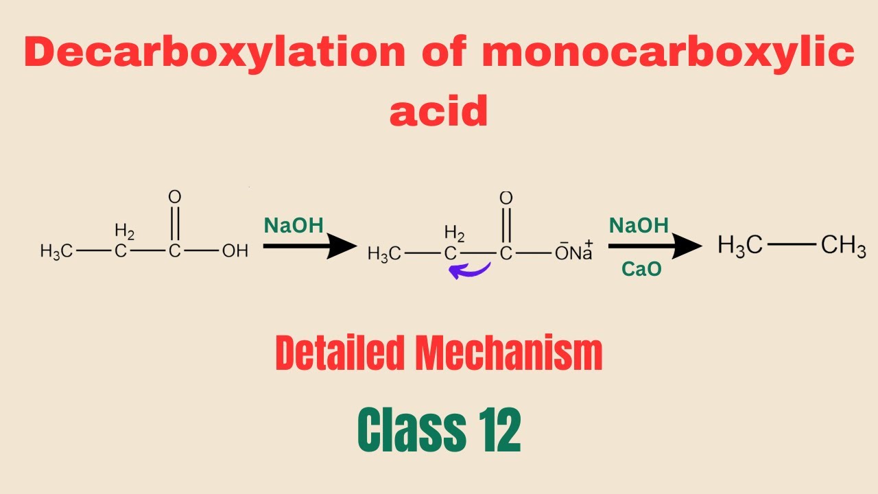Decarboxylation of monocarboxylic acid class 12 | mechanism of ...