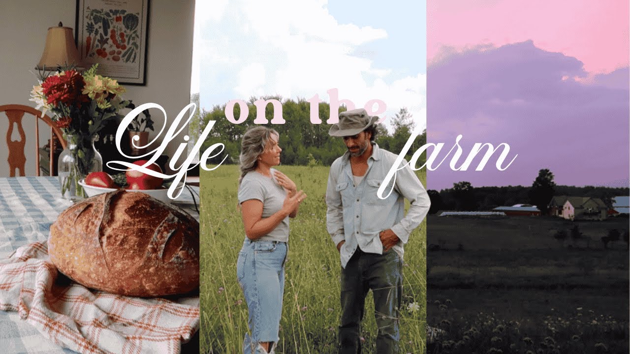 summer days on the farm: moving cows, dinner from scratch & home life ...
