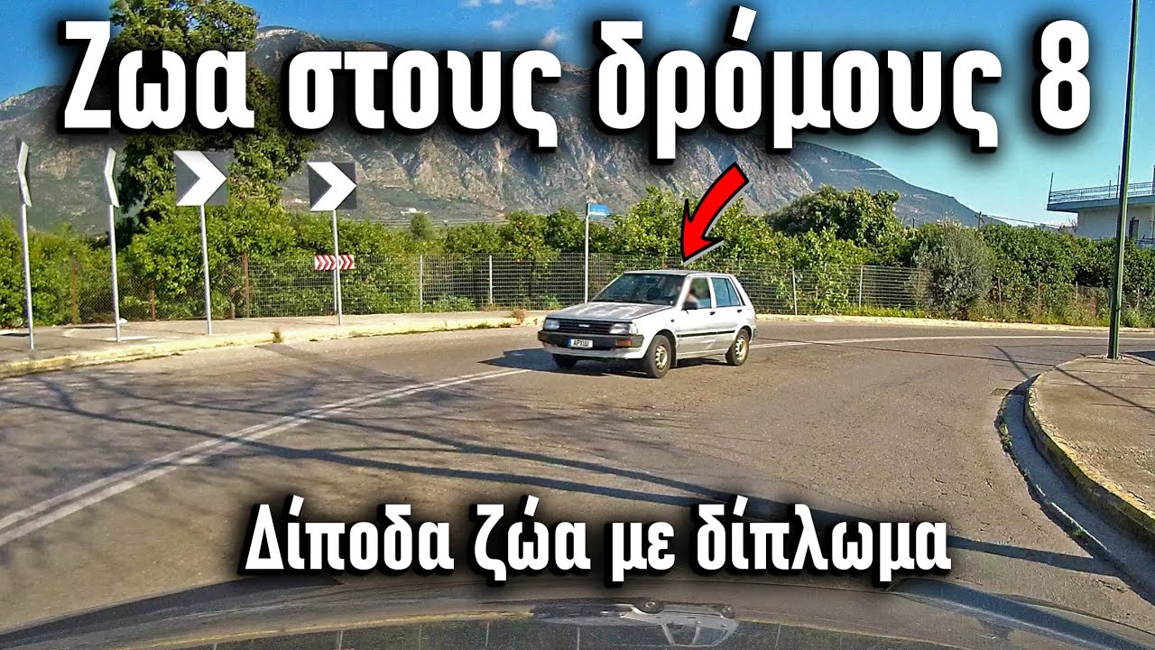 Ζωα στους δρόμους Νο8 - Οδική ασφάλεια 5.0 - YouTube