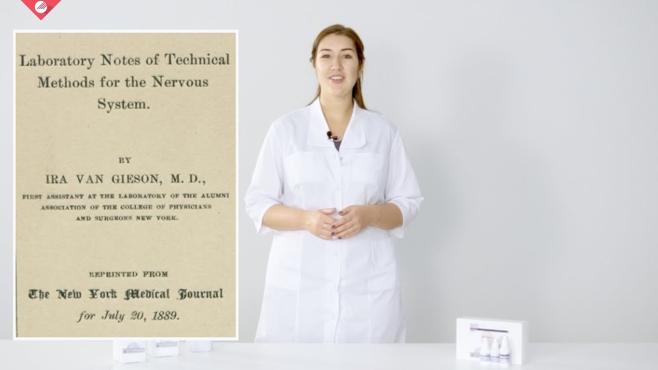 Collagen visualization: Van Gieson staining - YouTube