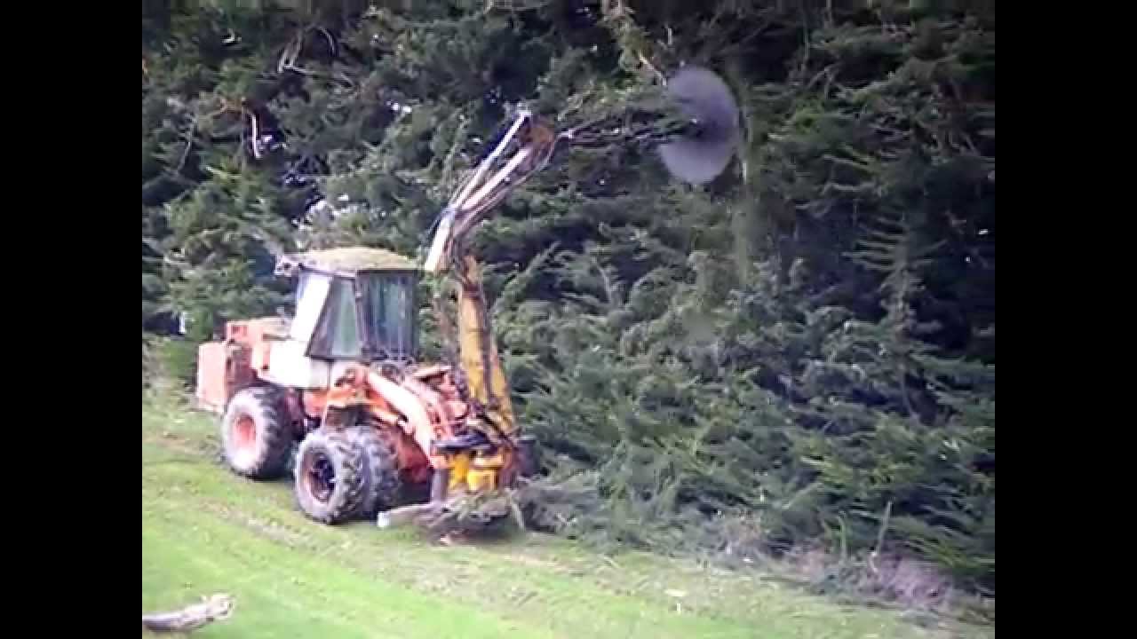 Lewis Cross : Hedge/Tree Trimming - YouTube