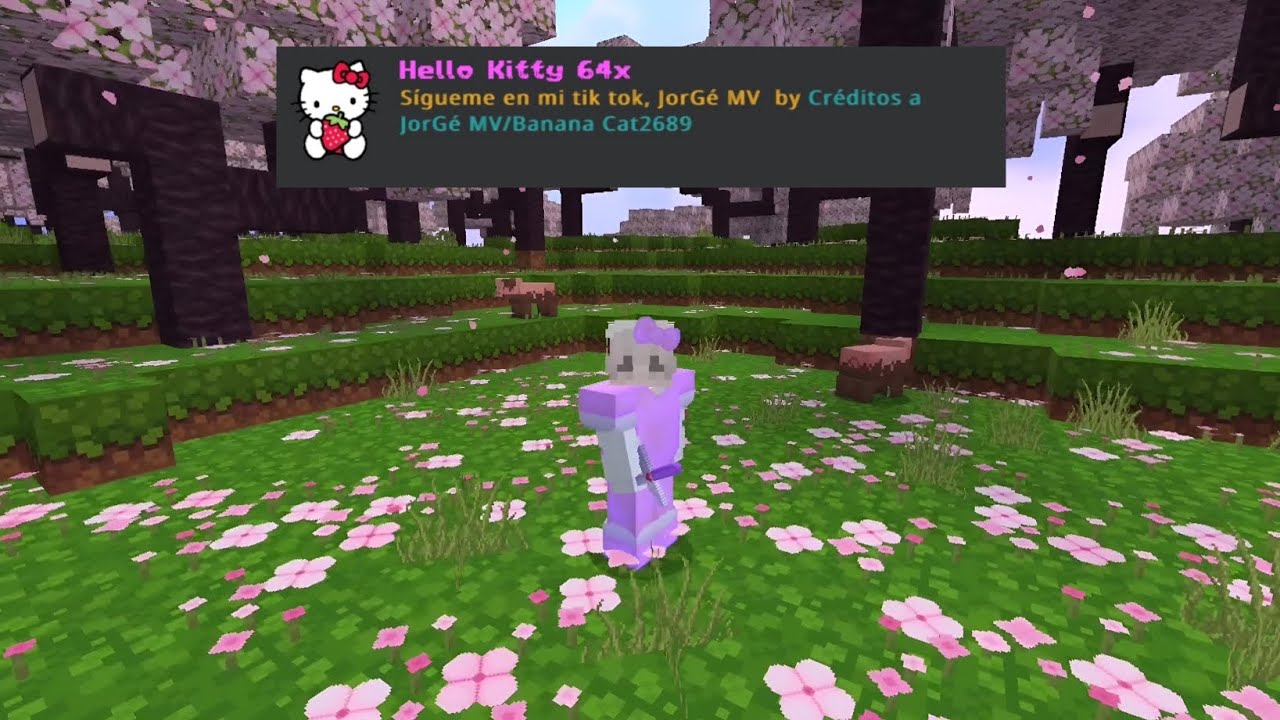 Texture for minecraft bedrock 1.20 pvp | Hello kitty 64x - YouTube