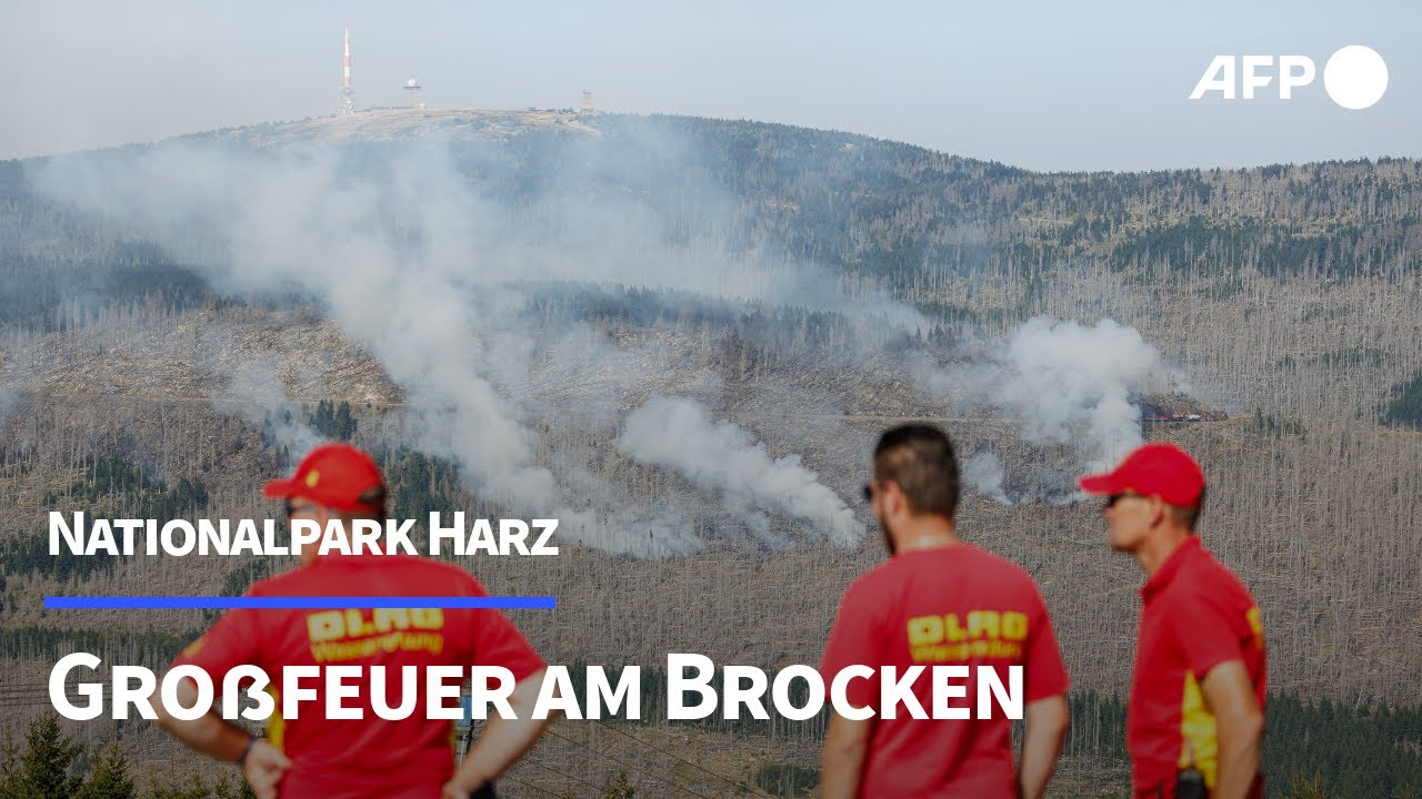 Großfeuer am Brocken im Nationalpark Harz | AFP - YouTube