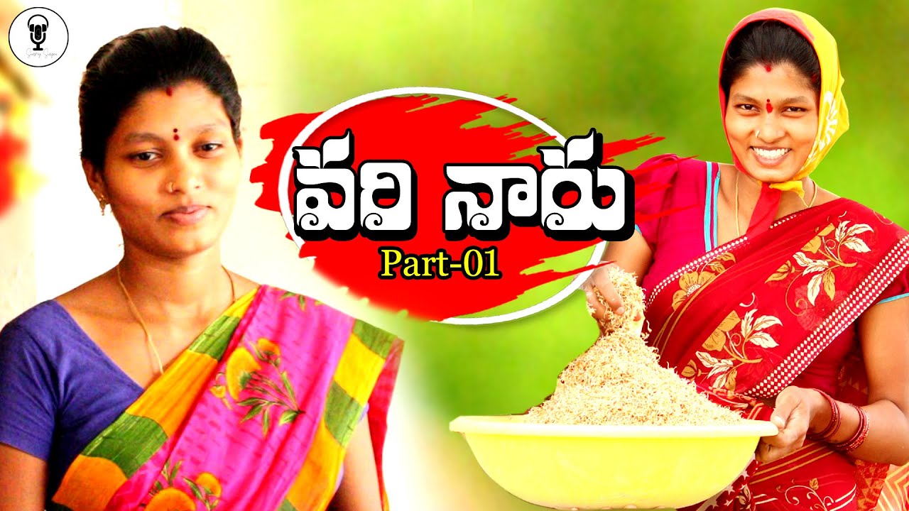 Vari naaru | Paddy farming village life style | village videos | Swamy ...