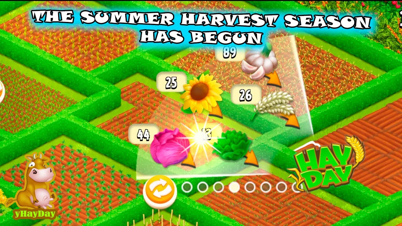 The summer harvest season has begun🐝 Hay Day Gameplay - YouTube