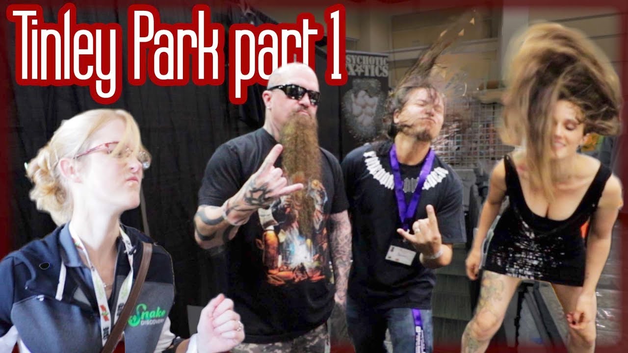 HOW to HEAD-BANG!! {with Kerry King of SLAYER} - YouTube
