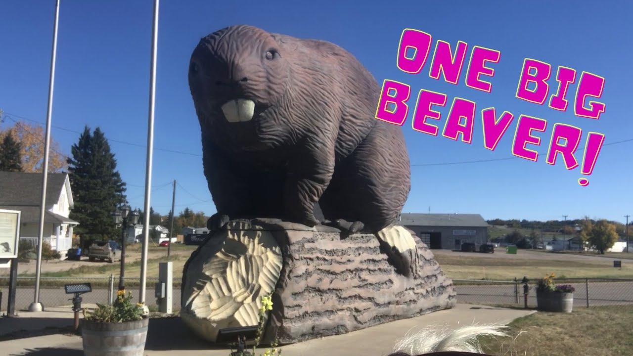 One Big Beaver #roadtrip - YouTube