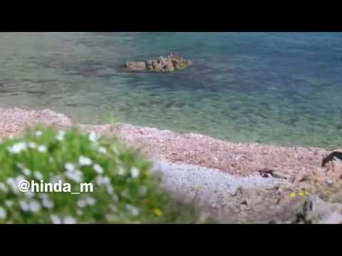 تمرين 14/21 بصوت هنده