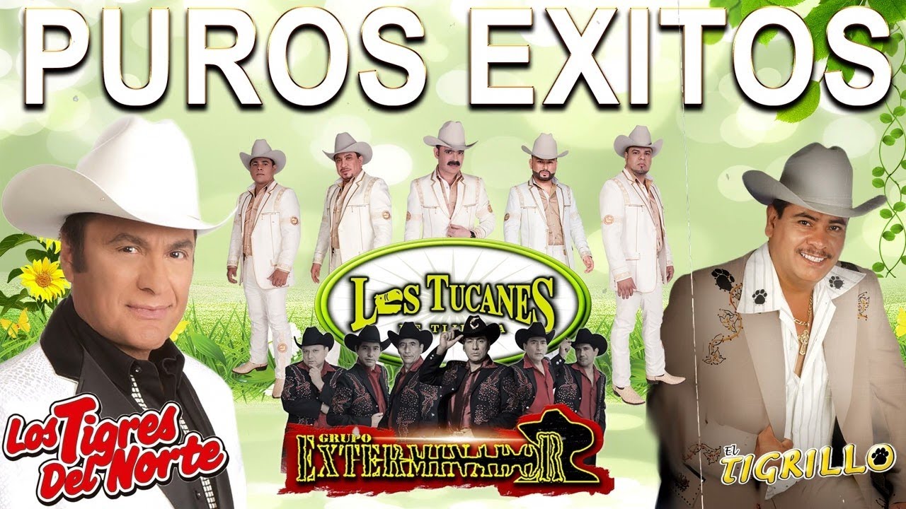 TIGRES DEL NORTE,TUCANES DE TIJUANA,EXTERMINADOR,EL TIGRILLO,PALMA,EL ...