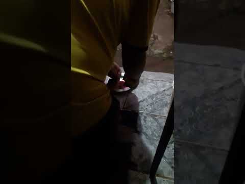 meu pai matando galinha mano