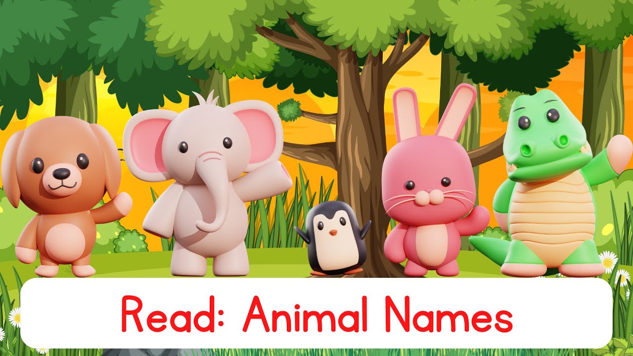 Animal names ; Learn animal names - YouTube