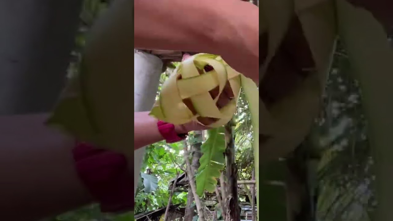 Popular Hanging Rice of Philippines | Native Pusò ng Pilipinas | Yummy ...