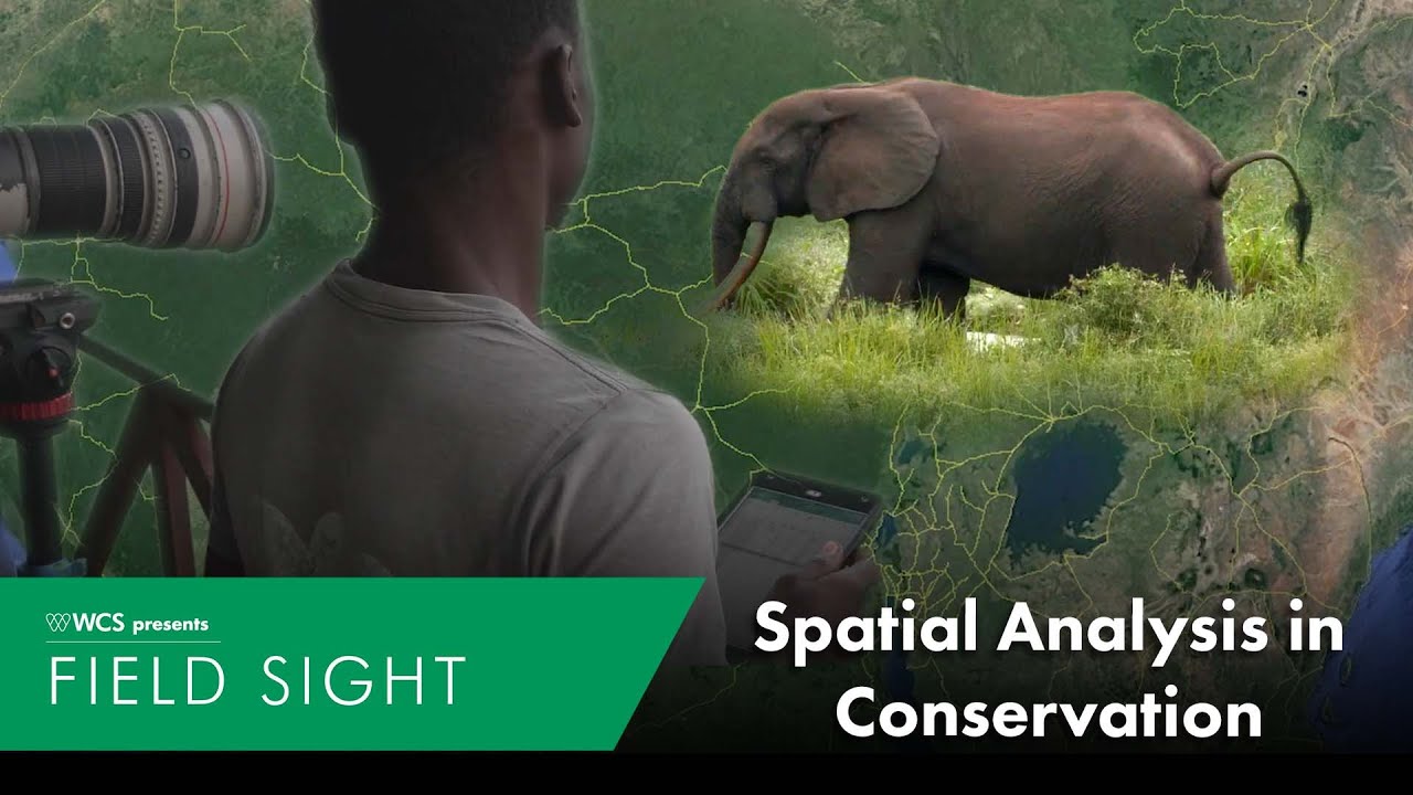 Spatial Analysis in Conservation - YouTube
