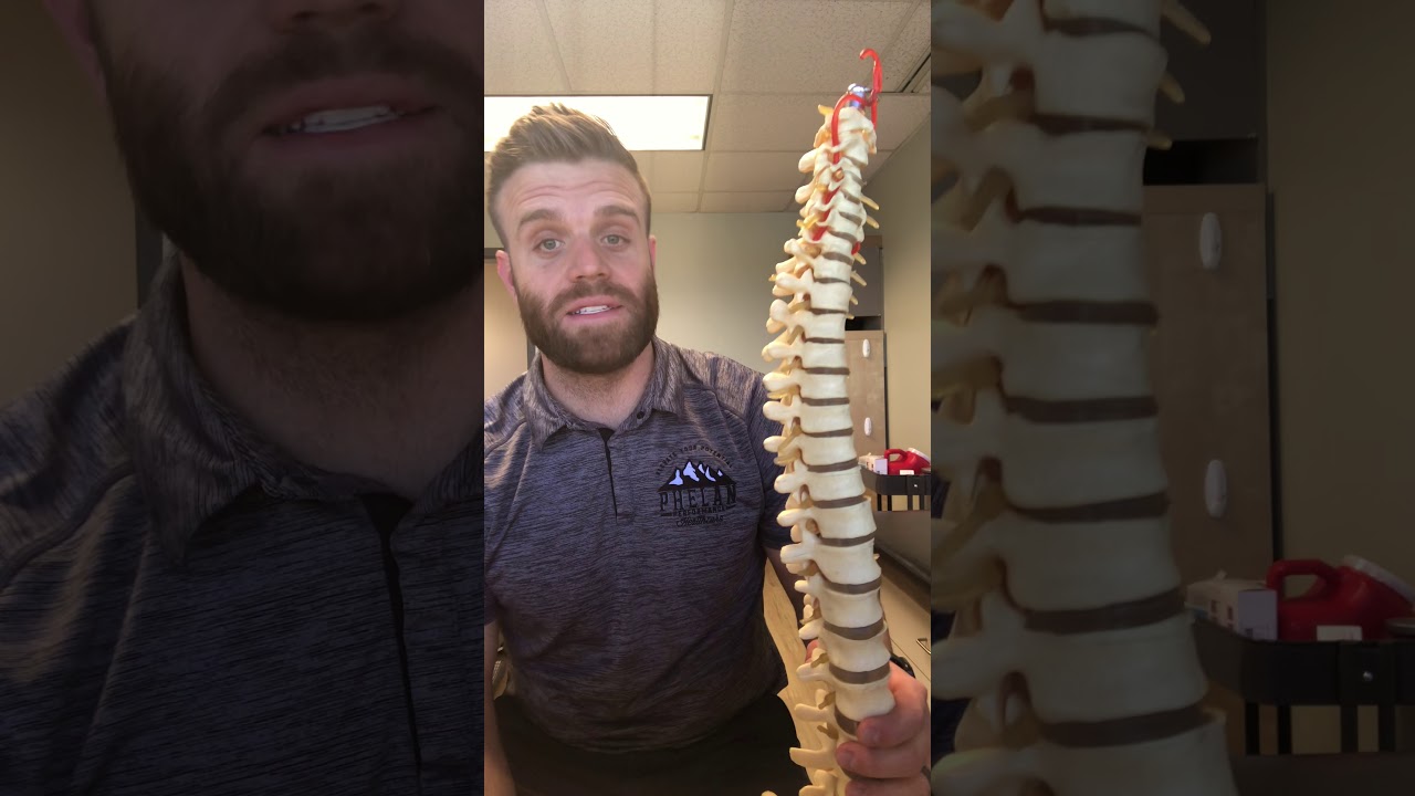 Neck and Low back pain referral. What can you do about it? - YouTube