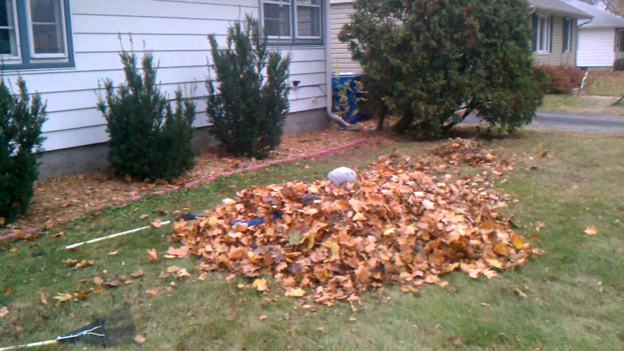 The Ole leaf "Crappie flop" - YouTube