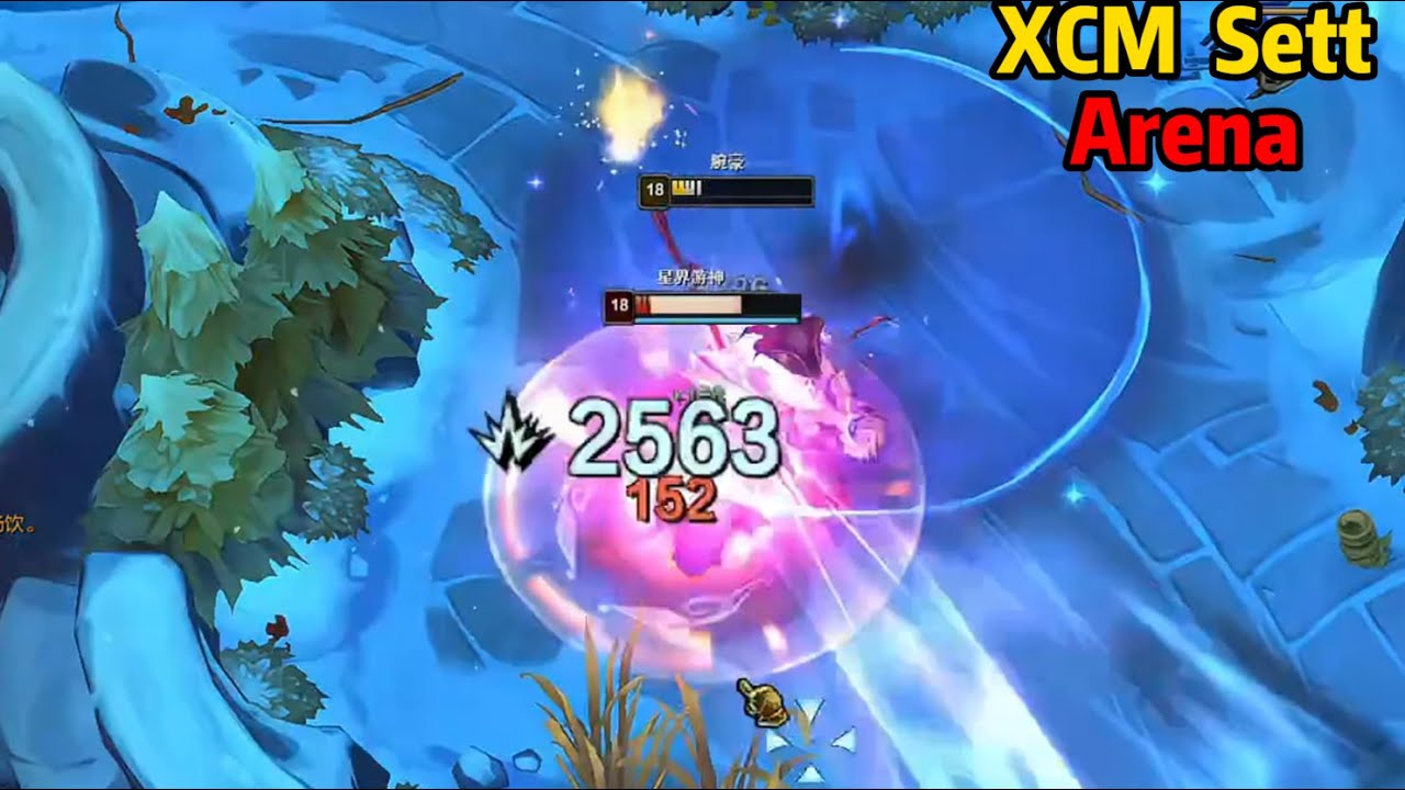 XCM Sett Arena: His Sett True Damage is TOO INSANE！ - YouTube