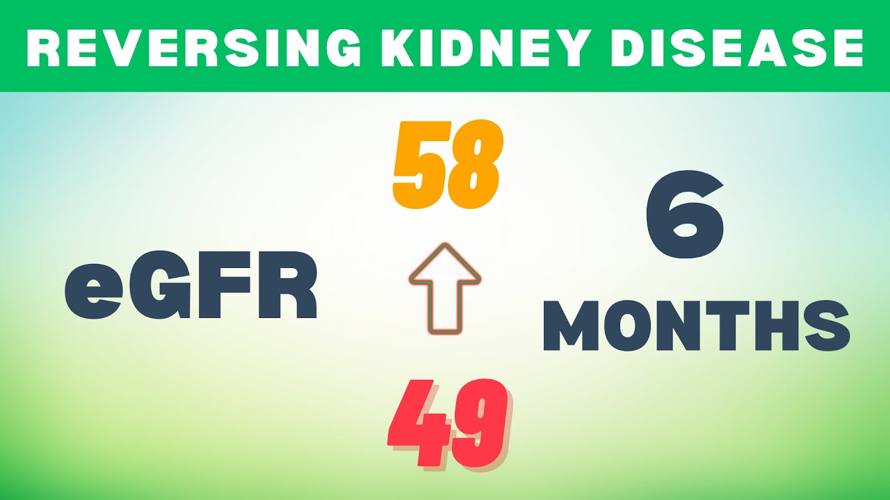 Managing Stage 3 Kidney Disease: Improving eGFR From 49 To 58 - YouTube