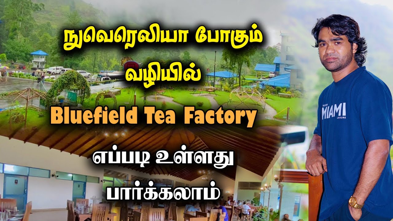 நுவெரெலியா போகும் வழியில் அமைந்துள்ள Bluefield Tea Factory | Tamil ...