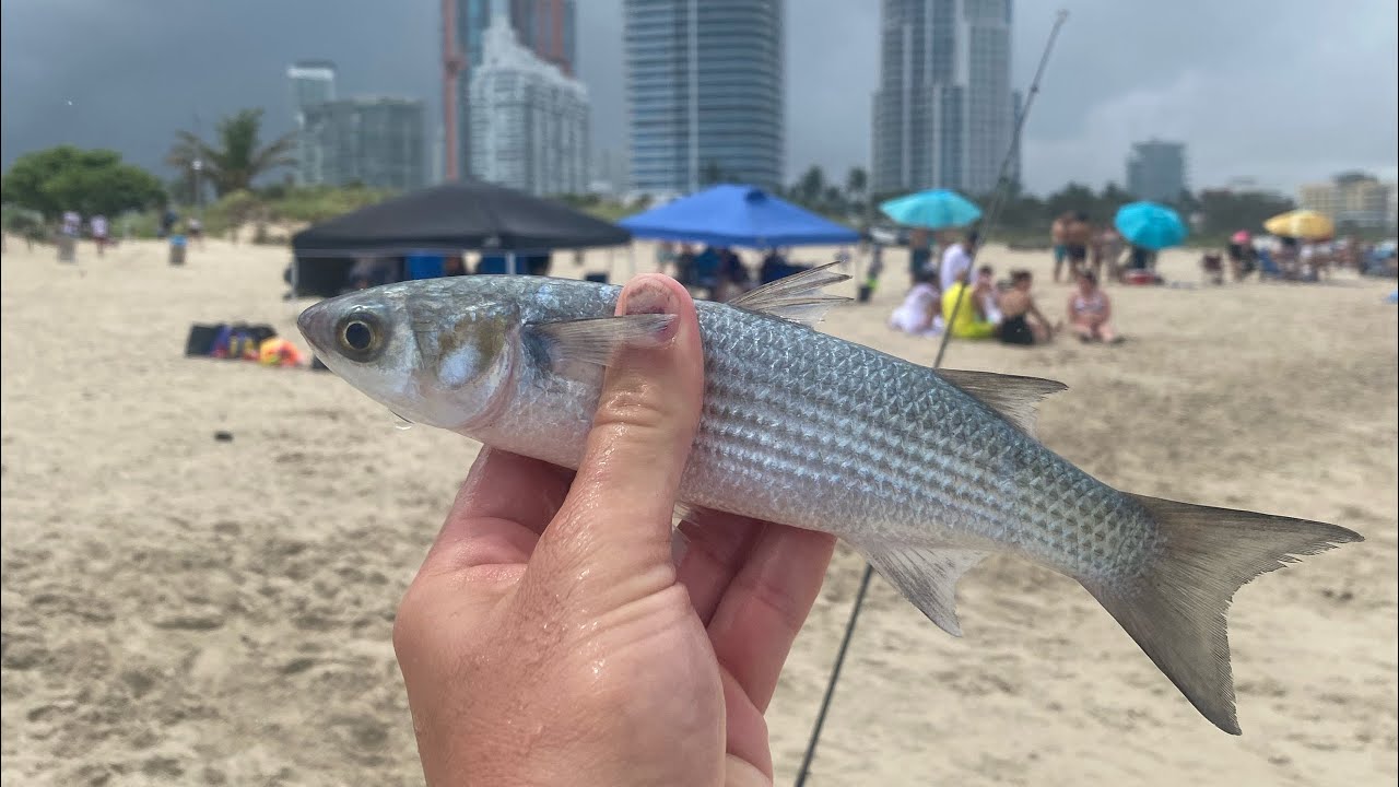 The 2024 Mullet Run is here in South Beach! - YouTube