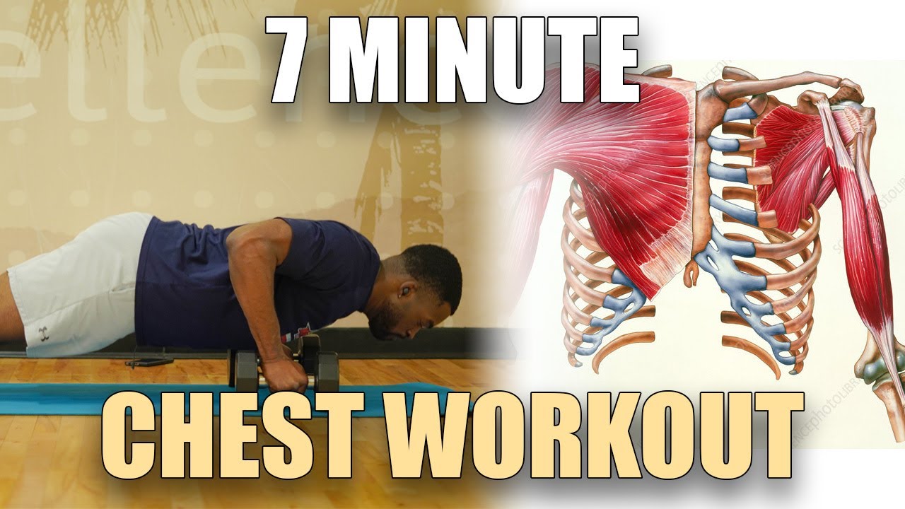 PERFECT 7 MINUTE CHEST WORKOUT (No Equipment Needed) - YouTube