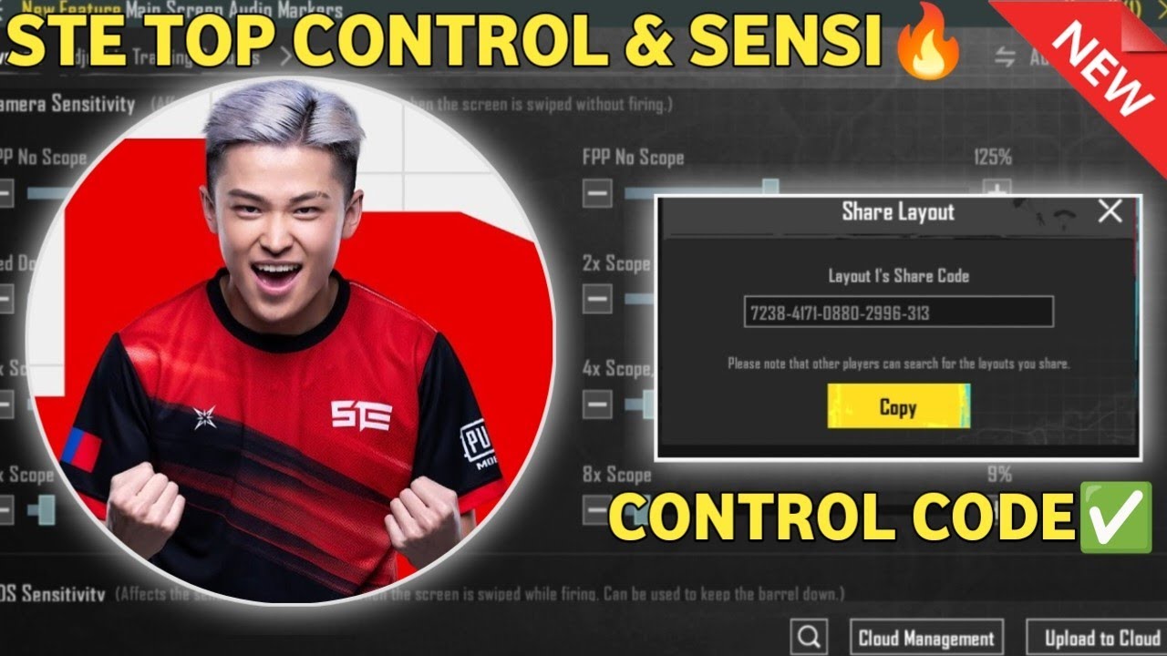 (2023) STE TOP SENSITIVITY CODE 2.6/ STE TOP CONTROL CODE 2.6/ #stetop ...