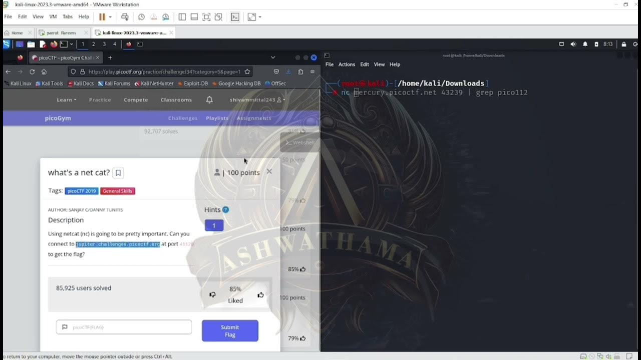 Solving Ctf Picoctf The Net Cat Ashwatthama Ctf Picoctf Cybersecurity Youtube