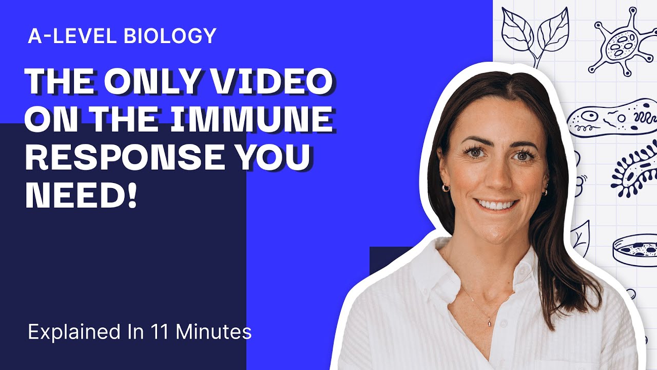 The ONLY Video On THE IMMUNE RESPONSE You Need! | A Level Biology - YouTube
