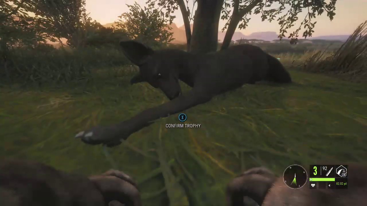 Thehunter: Call of the Wild Melanistic Jackal - YouTube