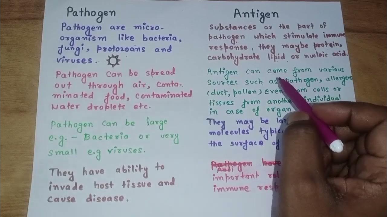 Pathogen vs Antigen|Difference-Easily explained - YouTube