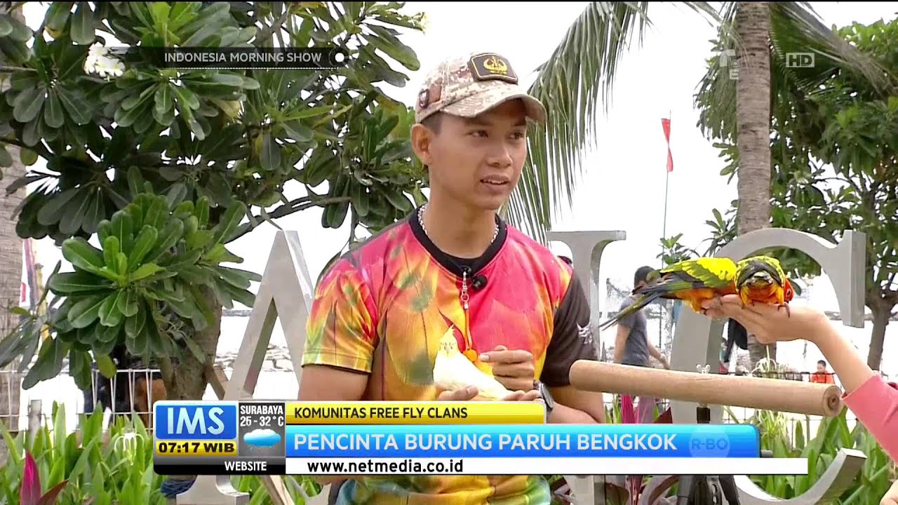 Komunitas Free Fly Clans - YouTube