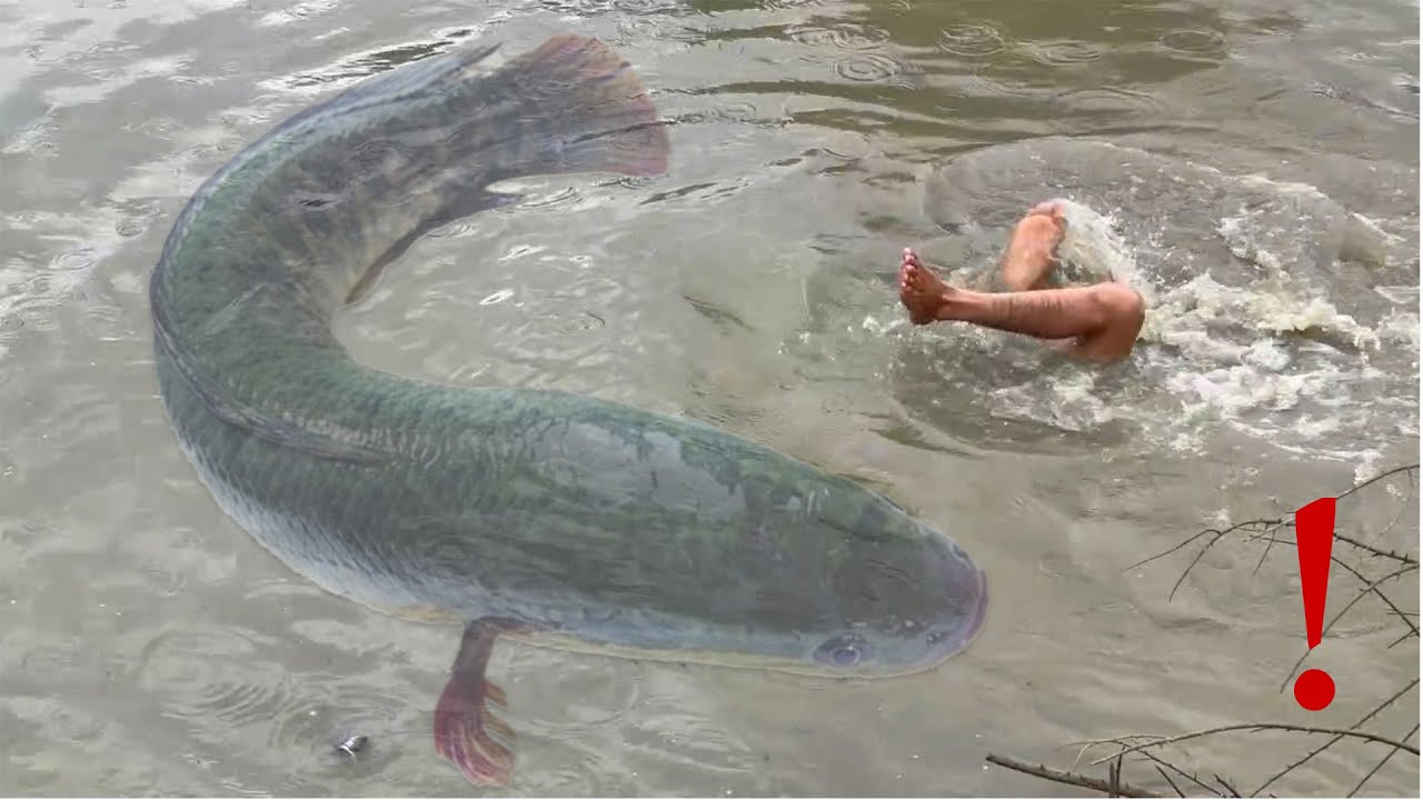 Fishing with Hands And Net Technique | Caught! - YouTube