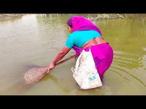 Cast Net Fishing|Village Amazing Woman Catching Fish With A Cast Net.(Part:211)