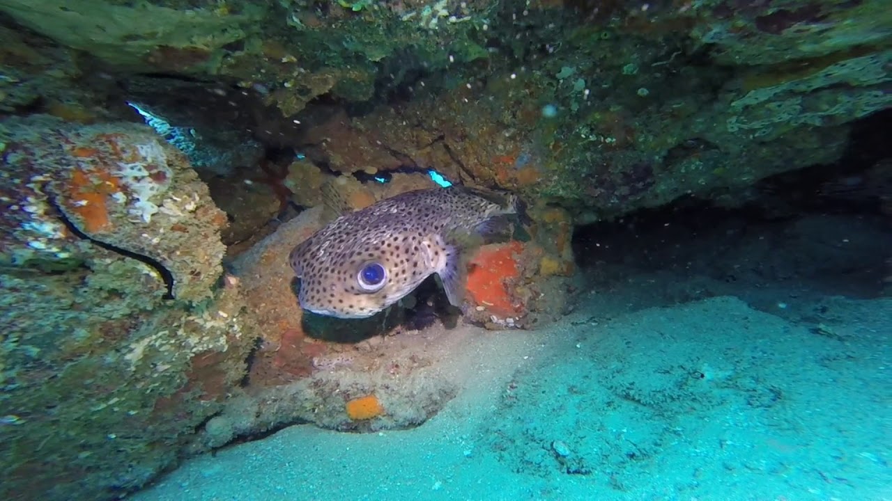 Point Arkwright July 2018 - YouTube