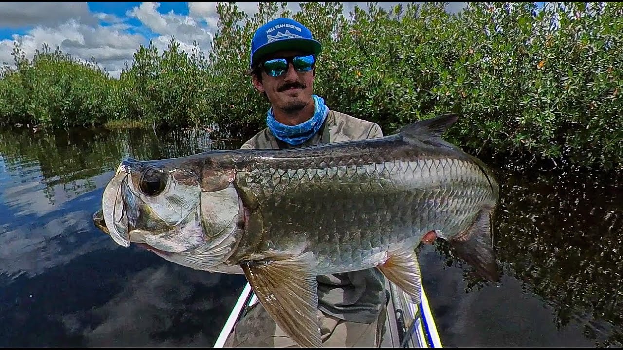 tarpon madness PT 2 - YouTube