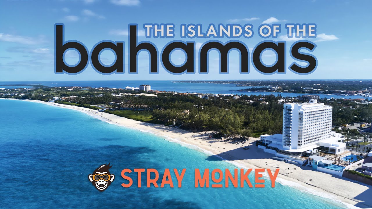 Traveling to the Bahamas - A Stray Monkey Trip - YouTube