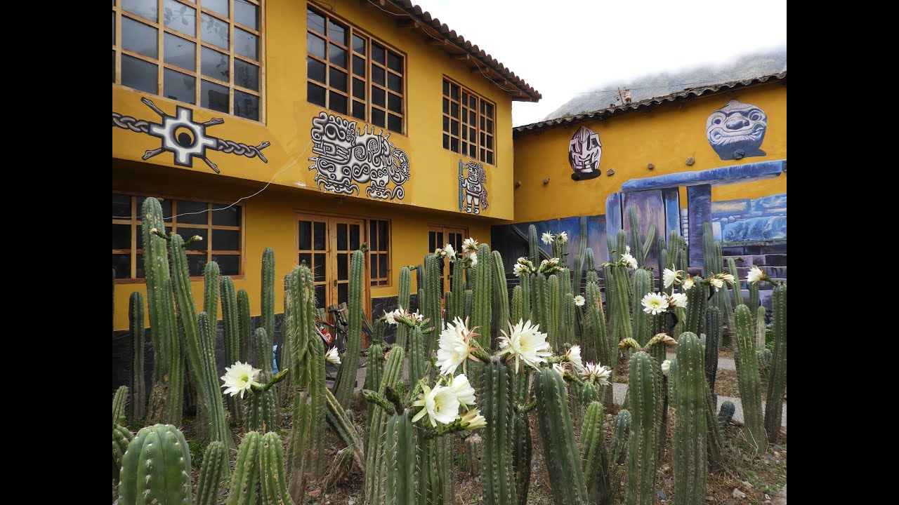 DIVINE CACTUS HUACHUMA (SAN PEDRO) | FULL DOCUMENTARY | REMAKE 2024 ...