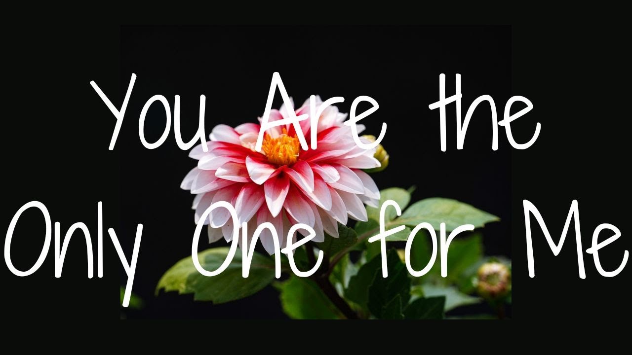 You Are the Only One for Me - YouTube
