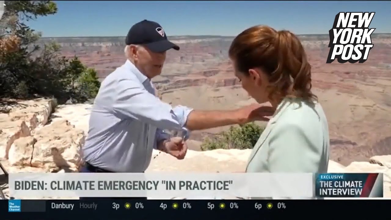Handsy President Biden brushes bug off Stephanie Abrams’ chest during ...