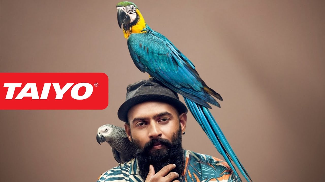 Taiyo | Brand Tvc #dogs #cat #gunieapig #fish #petfood #animals - YouTube